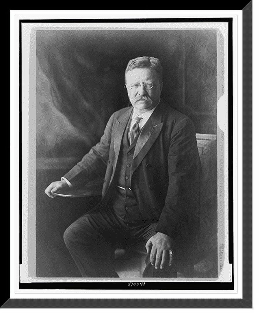 Historic Framed Print, [Theodore Roosevelt, three-quarter length ...