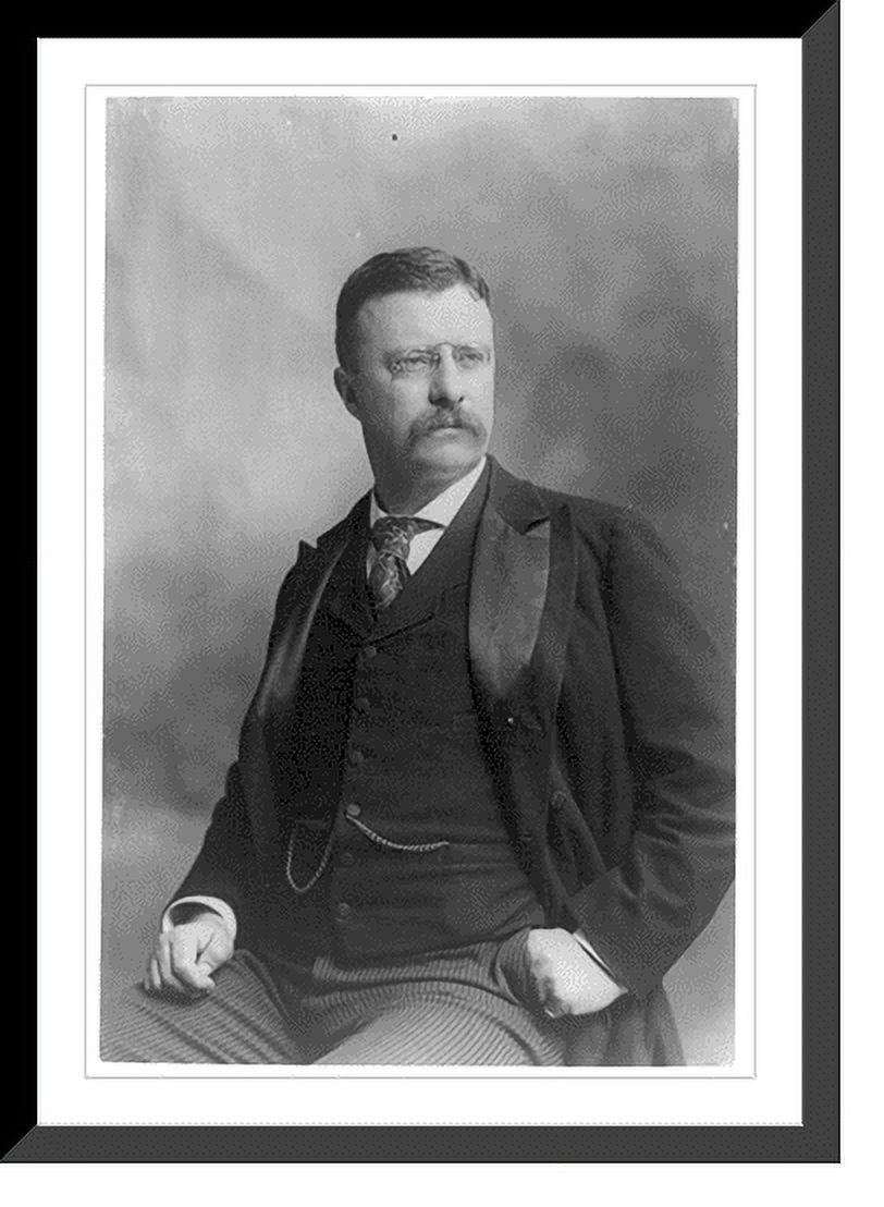Historic Framed Print, [Theodore Roosevelt, three-quarter length ...