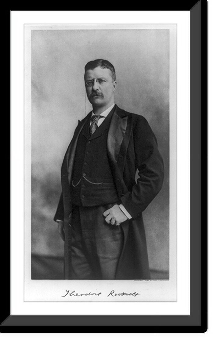Historic Framed Print, [Theodore Roosevelt, three-quarter length ...