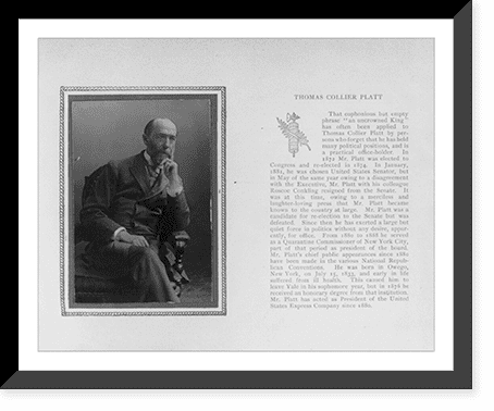 Historic Framed Print, Thomas Collier Platt, 1833-, 17-7/8" x 21-7/8 ...