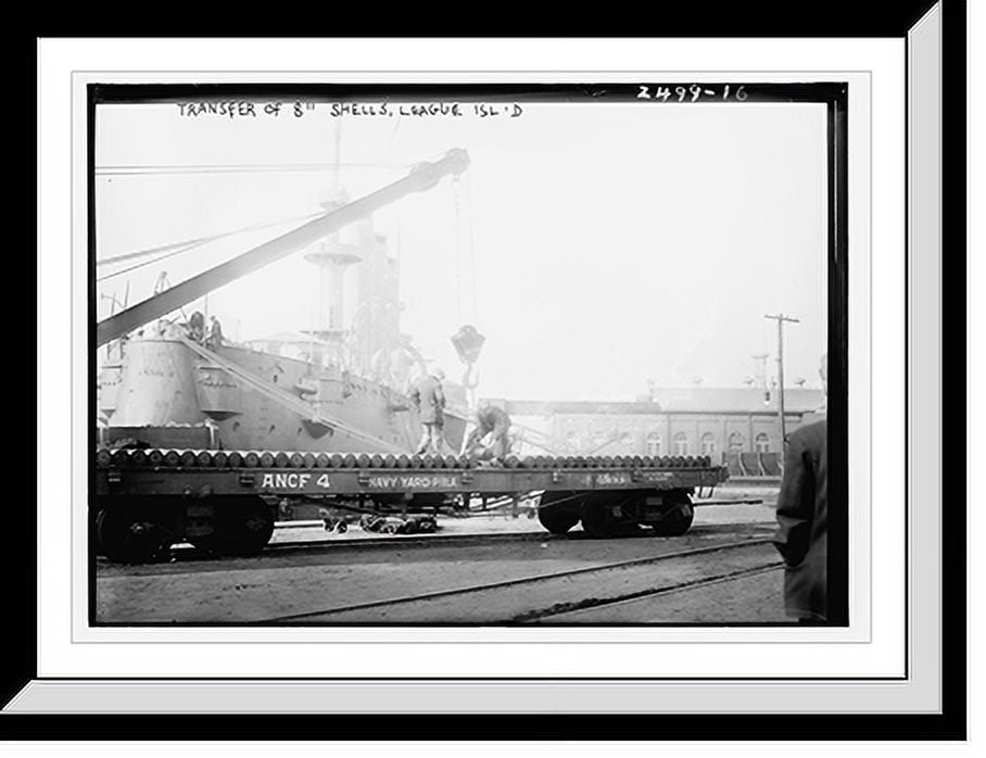 Historic Framed Print, Transfer of 8" shells, League Isl., 17-7/8" x 21 ...
