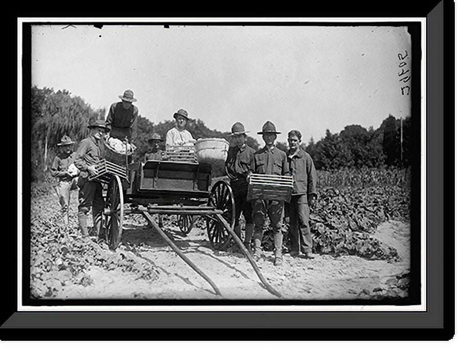 Historic Framed Print, WALTER REED HOSPITAL, 17-7/8" x 21-7/8 ...