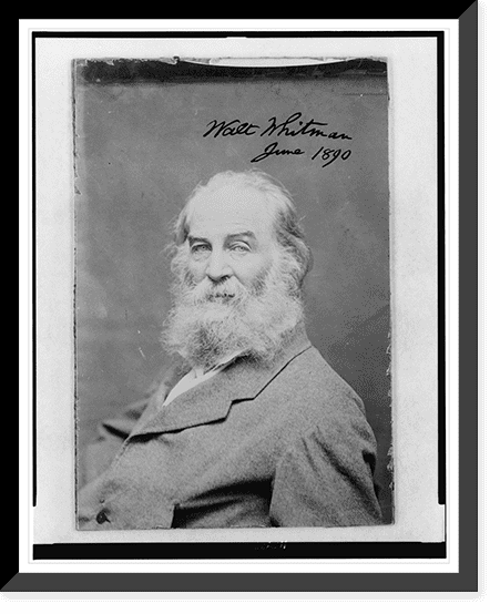 Historic Framed Print, [Walt Whitman as an old man, half-length ...