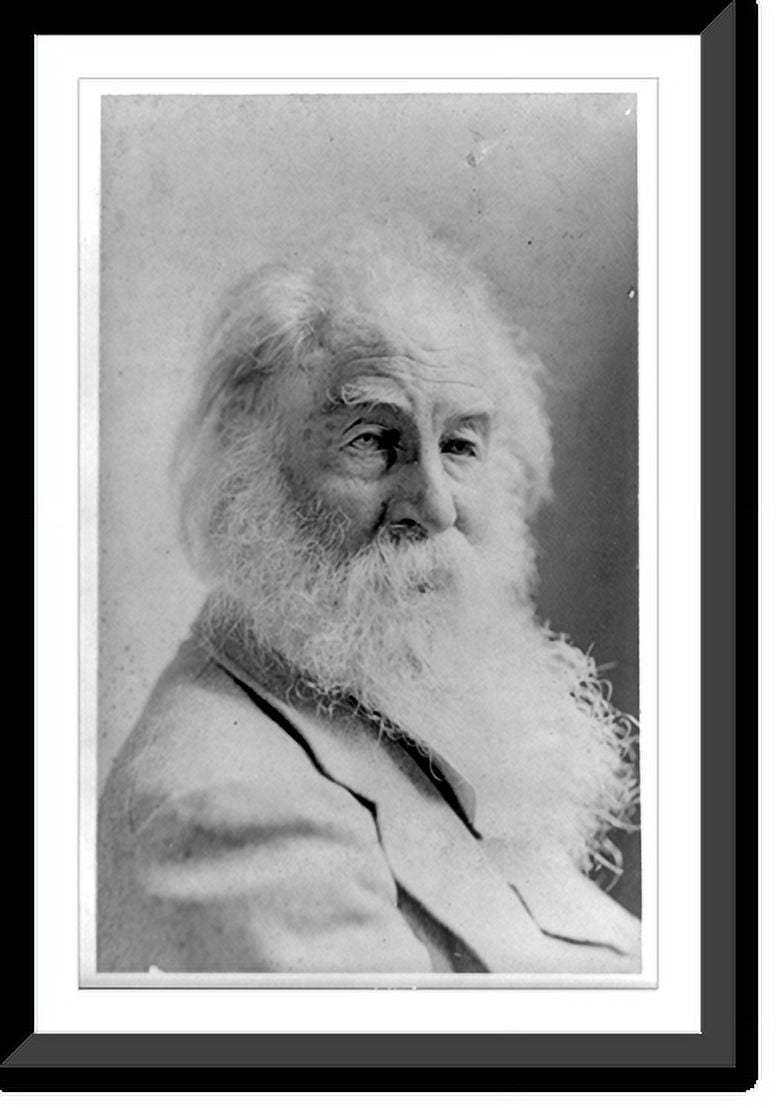 Historic Framed Print, [Walt Whitman, head-and-shoulders portrait ...