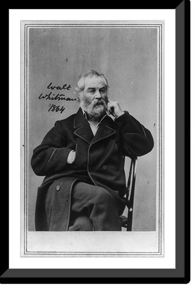 Historic Framed Print, [Walt Whitman, three-quarter length portrait ...