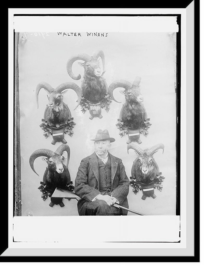 Historic Framed Print, Walter Winans with Mt. Sheep head trophies, 17-7 ...