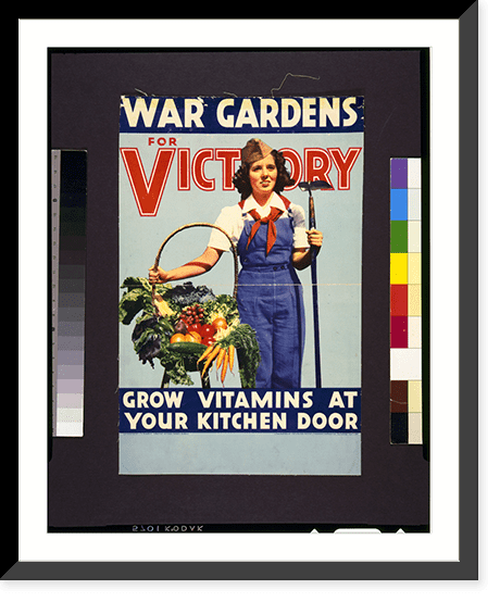 Historic Framed Print, War gardens for victory. Grow vitamins at your ...