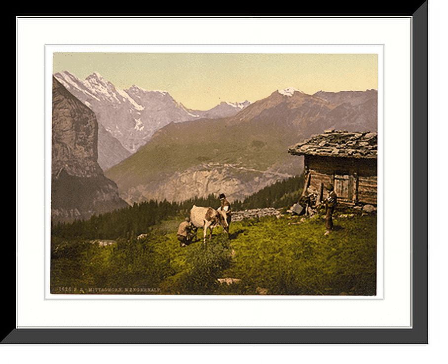 Historic Framed Print, Wengern Alp cheese dairy cowkeeper milking cow ...