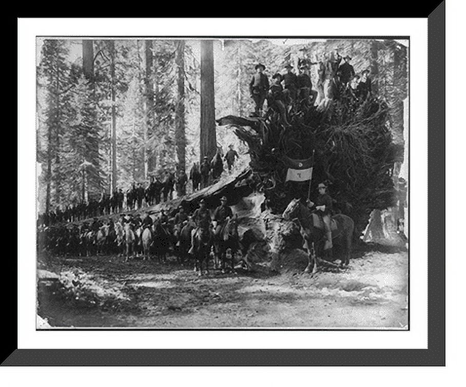 Historic Framed Print, The fallen monarch, surrounded by Co. F, 6th ...