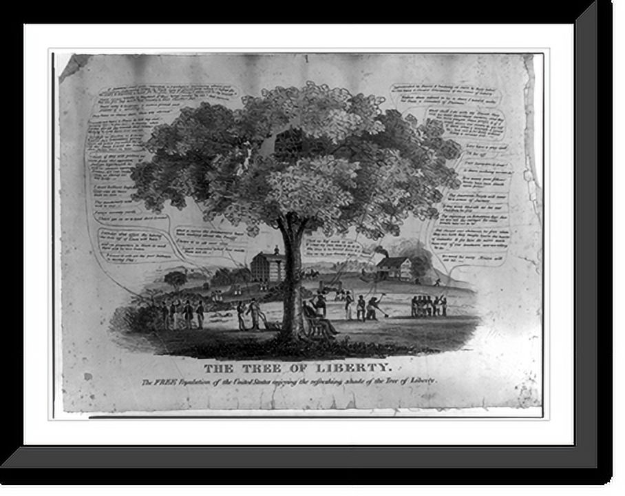 Historic Framed Print, The tree of liberty. The free population of the ...