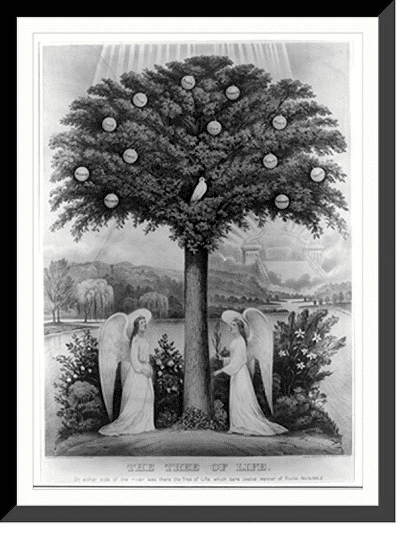 Historic Framed Print, The tree of life: on either side of the river ...
