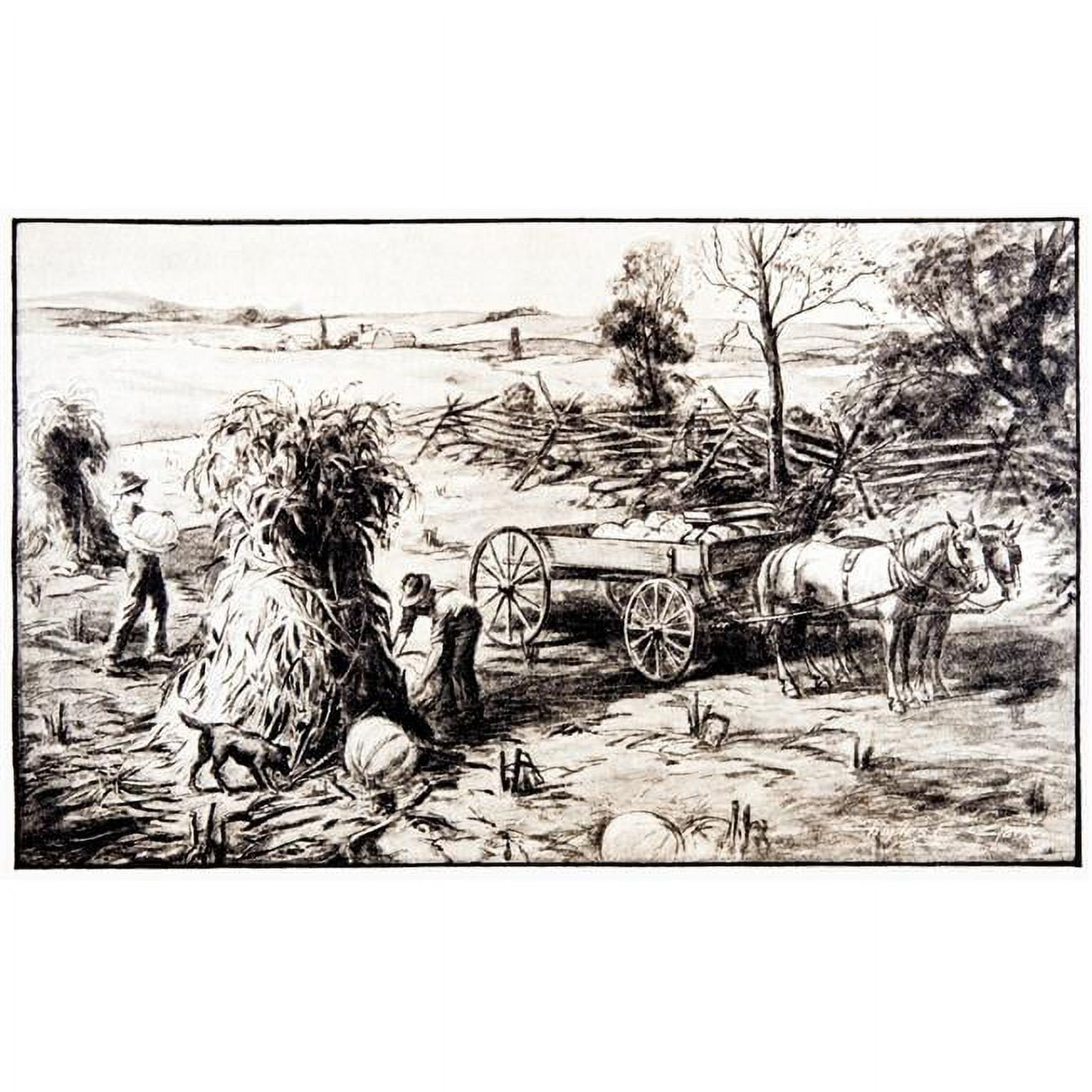 Historic Illustration of Farmers in Fall Pilling Corn Into Corn Shocks ...