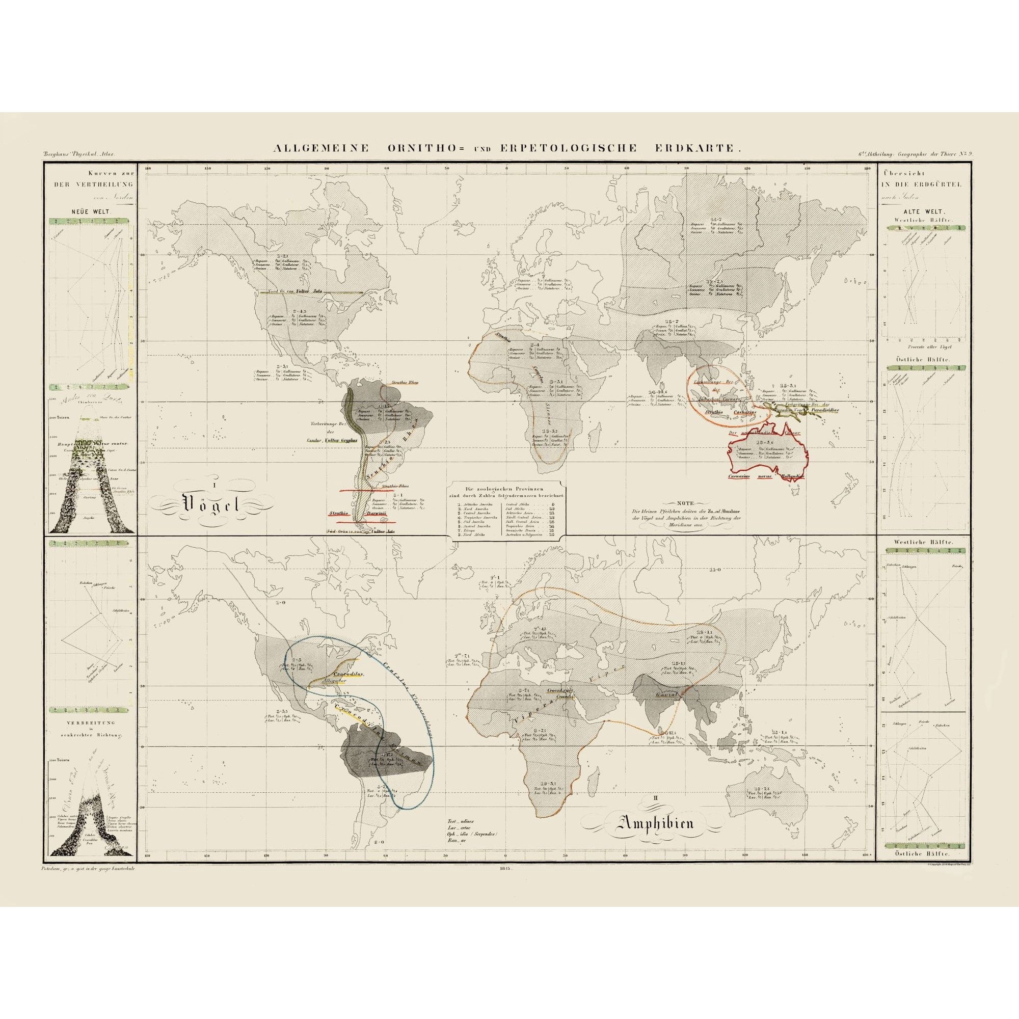 Historic Map - World Herpetological - 1845 - Vintage Wall Art - Walmart.com
