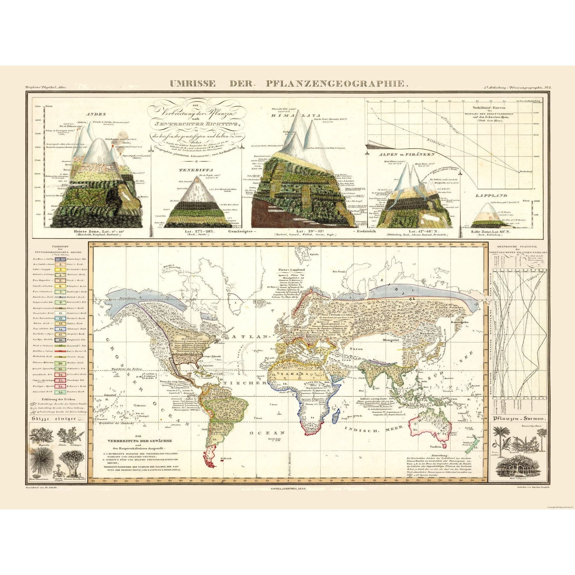 Historic Map - World Plant Geography - Perthes 1838 - 29.79 x 23 ...