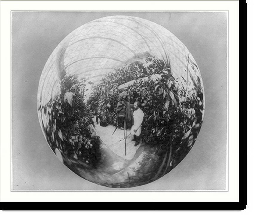 Historic Print, [A.K. Kuznetsov; full, standing by camera on tripod ...