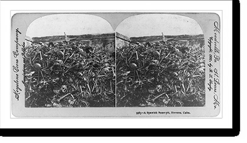 Historic Print, A Spanish bone-pit, Havana, Cuba, 18" x 24" - Walmart.com