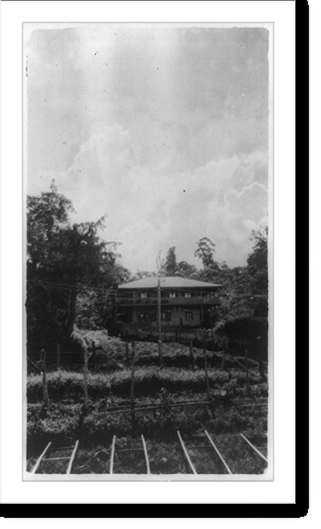 Historic Print, A coffee ranch (hacienda). coffee racks in the ...