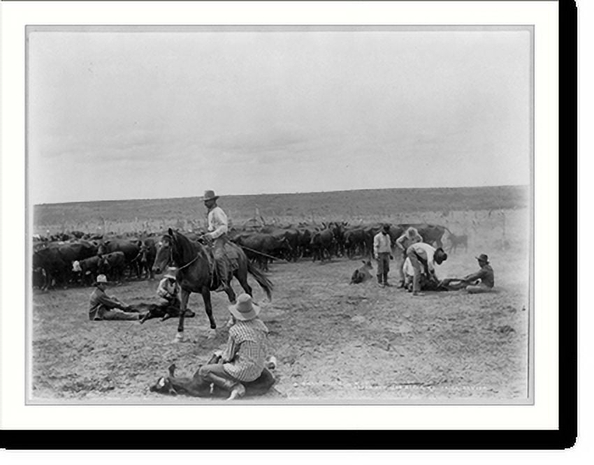 Historic Print, [Activities of cowboys on the XIT ranch: branding ...
