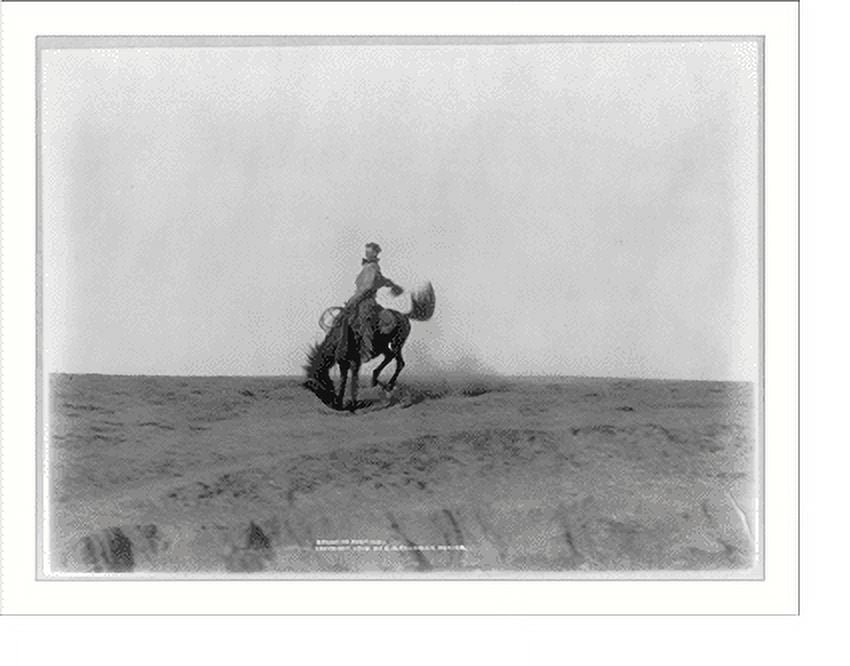 Historic Print, [Activities of cowboys on the XIT ranch: bronco busting ...