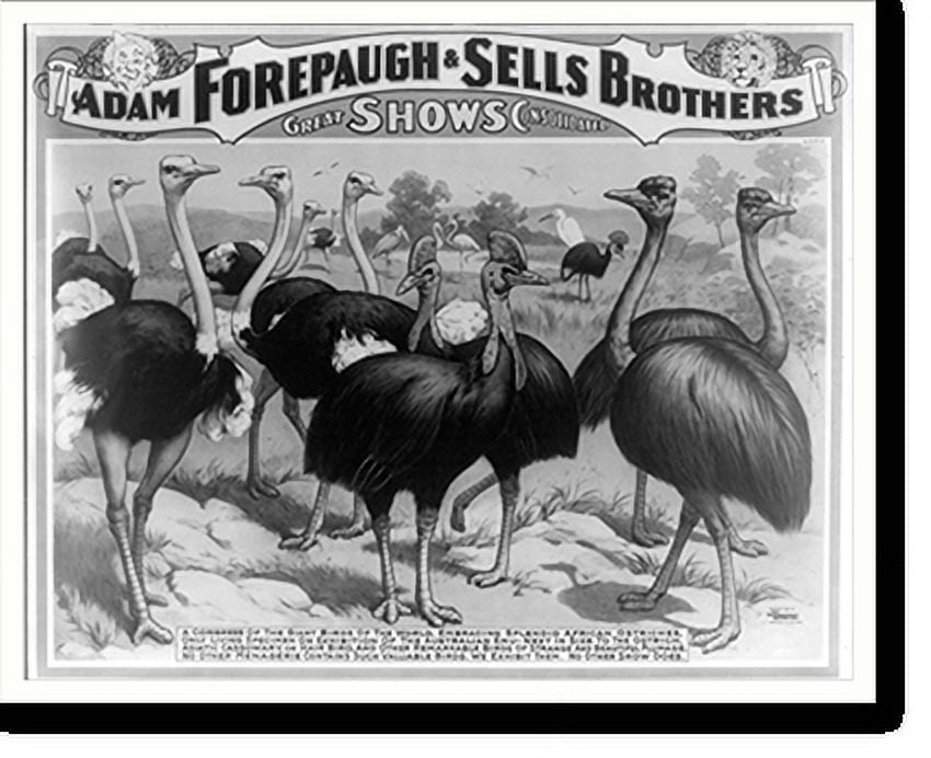 Historic Print, Adam Forepaugh & Sells Brothers great shows ...