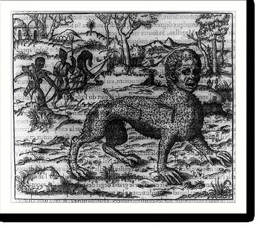 Historic Print, [African monster" - wooly, with dog-like body and human ...