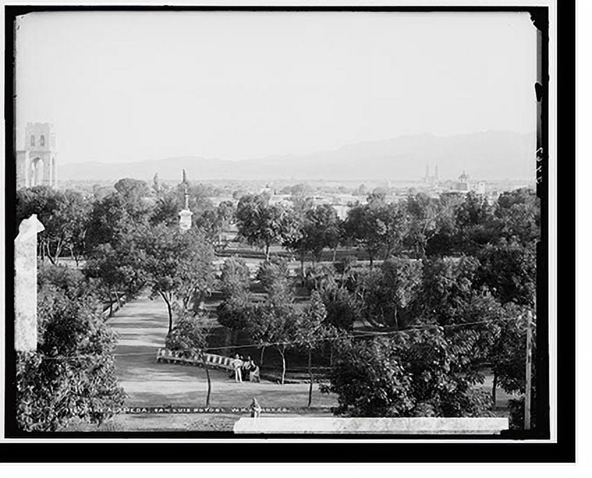 Historic Print, Alameda, San Luis Potosi, The, 16" x 20" - Walmart.com