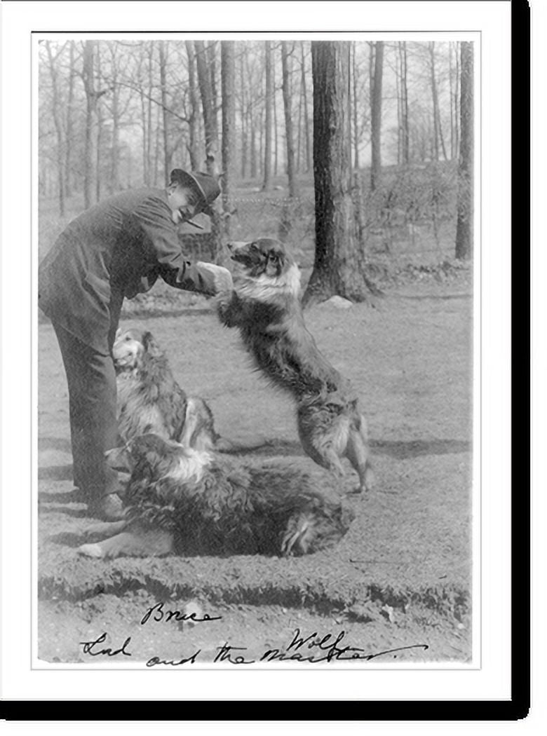 Historic Print, [Albert Payson Terhune, 1872-1942, full-length portrait ...