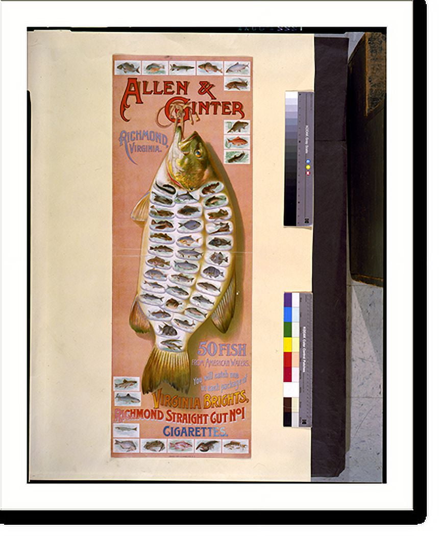 Historic Print, Allen & Ginter, Richmond, Virginia. 50 fish from ...