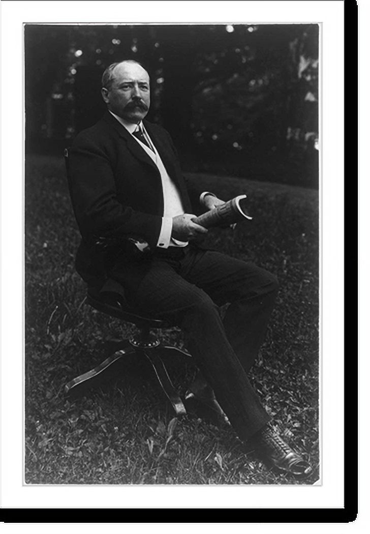 Historic Print, [Alton Brooks Parker, 1852-1926, full-length portrait ...