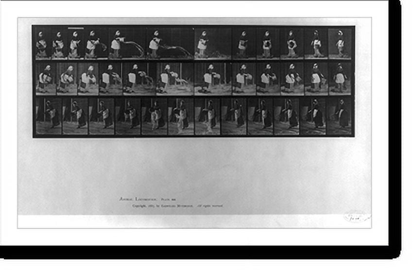 Historic Print, [Animal Locomotion. Motion-picture frames: 3 sequences ...
