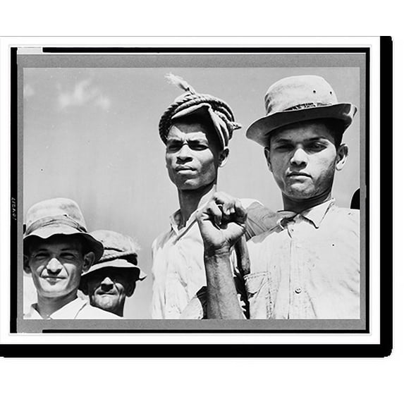 Historic Print, Arecibo, Puerto Rico (vicinity). Sugar cane workers on ...