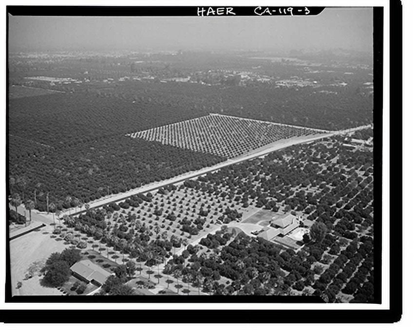 Historic Print, Arlington Heights Citrus Landscape, Southwestern ...