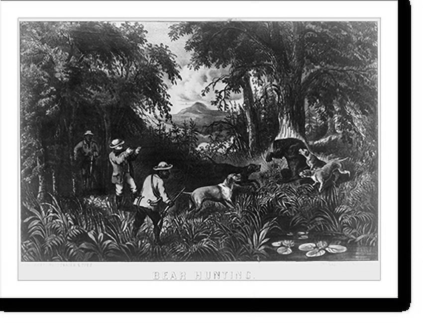 Historic Print, Bear Hunting: close quarters, 16" x 20" - Walmart.com