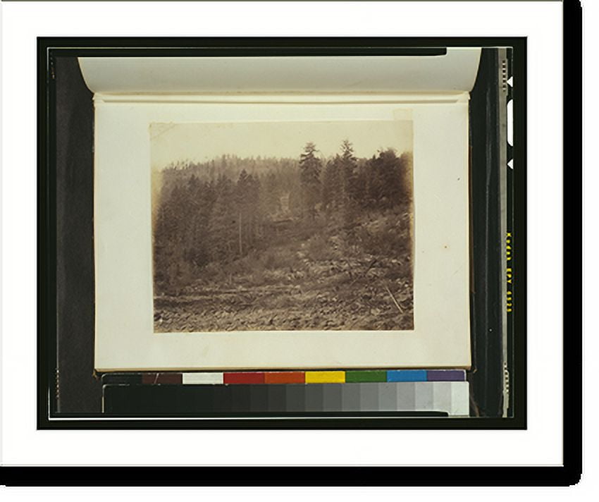 Historic Print, Boundary line cut, 16" x 20" - Walmart.com
