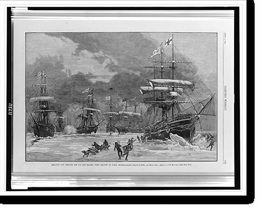 Historic Print, Breaking out through the ice - the sealing fleet ...