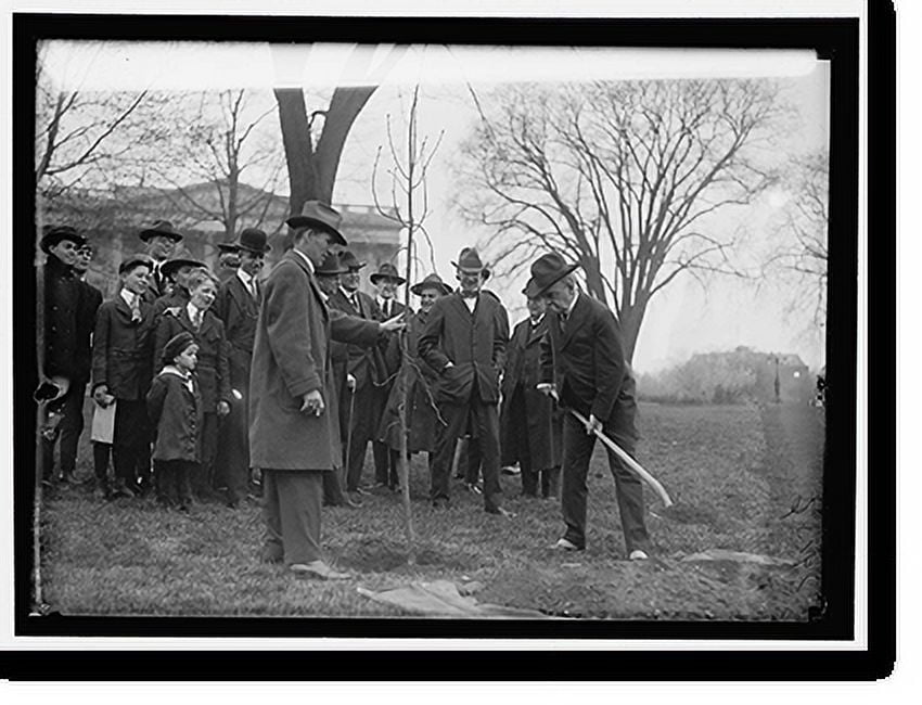 Historic Print, CAPITOL, U.S. TREE PLANTING: SAULSBURY WITH SHOVEL; JIM ...