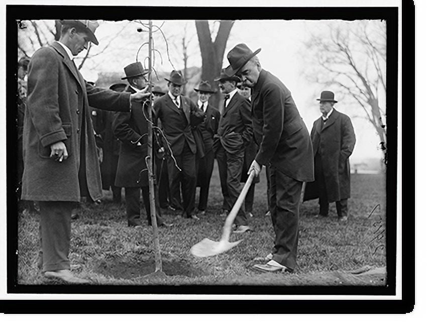Historic Print, CAPITOL, U.S. TREE PLANTING: SAULSBURY WITH SHOVEL; JIM ...