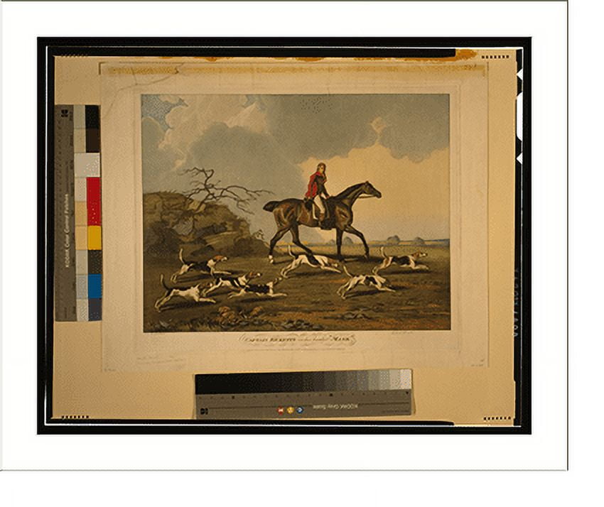 Historic Print, Captain Ricketts on his hunter Mask".Benj. Marshall ...