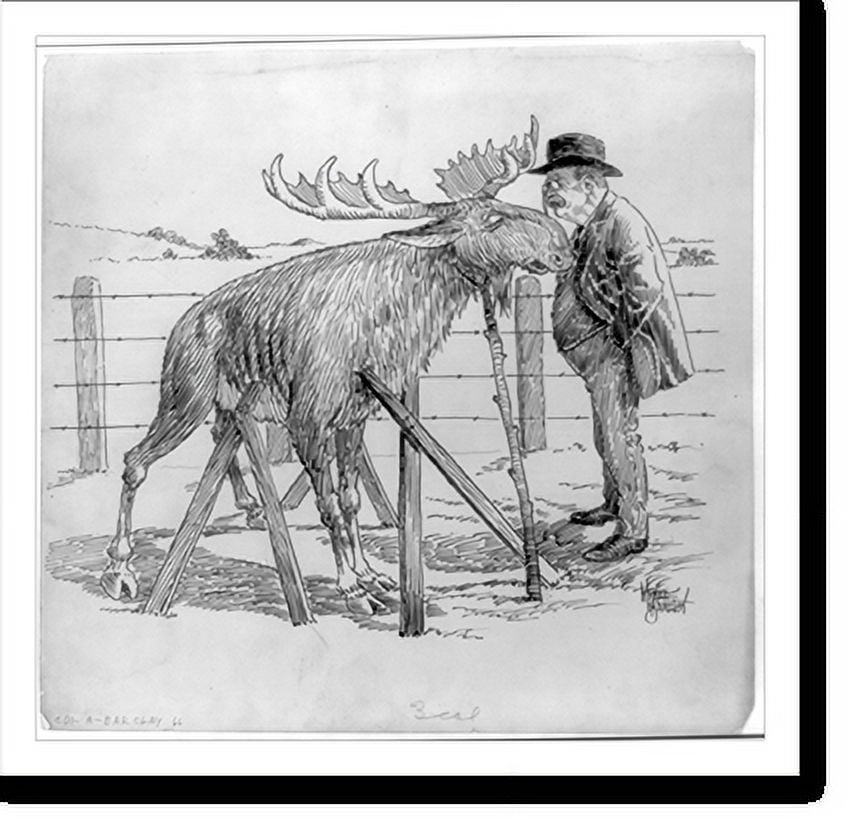 Historic Print, [Cartoon showing Theodore Roosevelt looking at bull ...