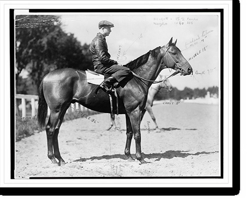 Historic Print, Charles S. Howard's favorite picture of Seabiscuit ...