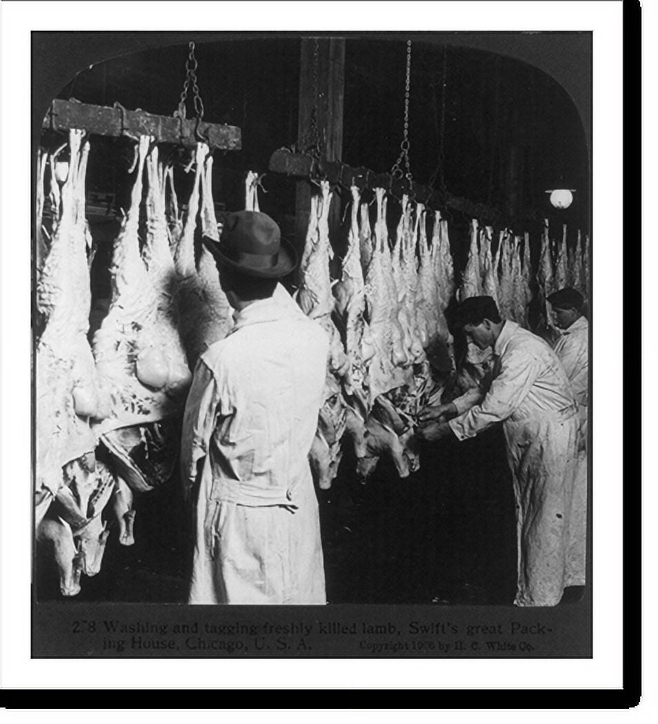 Historic Print, Chicago - Meat Packing Industry - Swift's Packing House ...