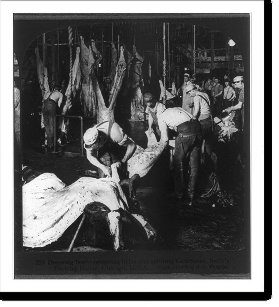 Historic Print, Chicago - Meat Packing Industry: dressing beef ...