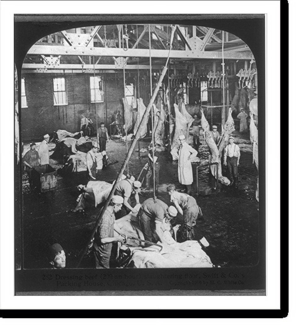 Historic Print, Chicago - Meat Packing Industry: dressing beef ...
