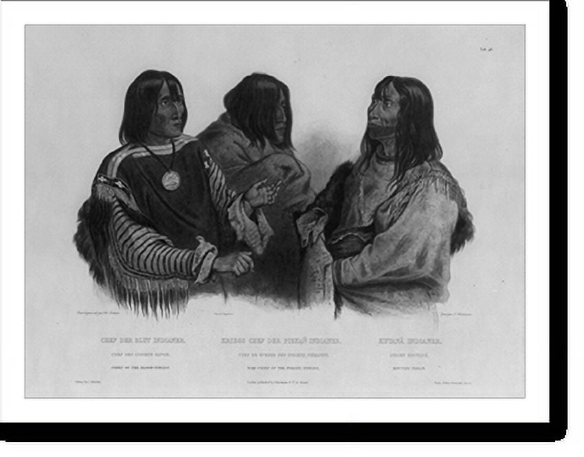 Historic Print, Chief of the Blood-Indians. War-chief of the Piekann ...