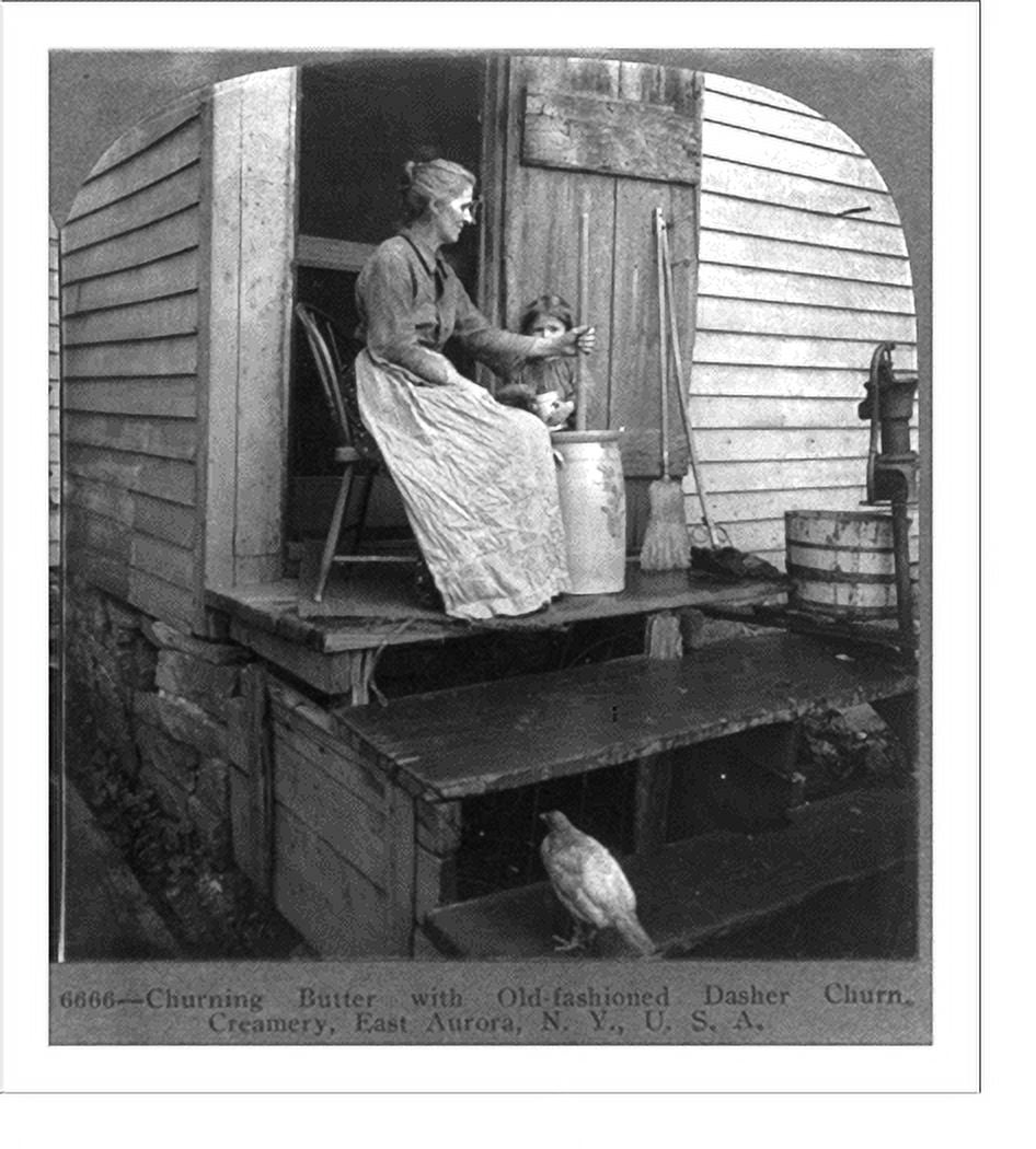 Historic Print, Churning butter with old-fashioned dasher churn ...