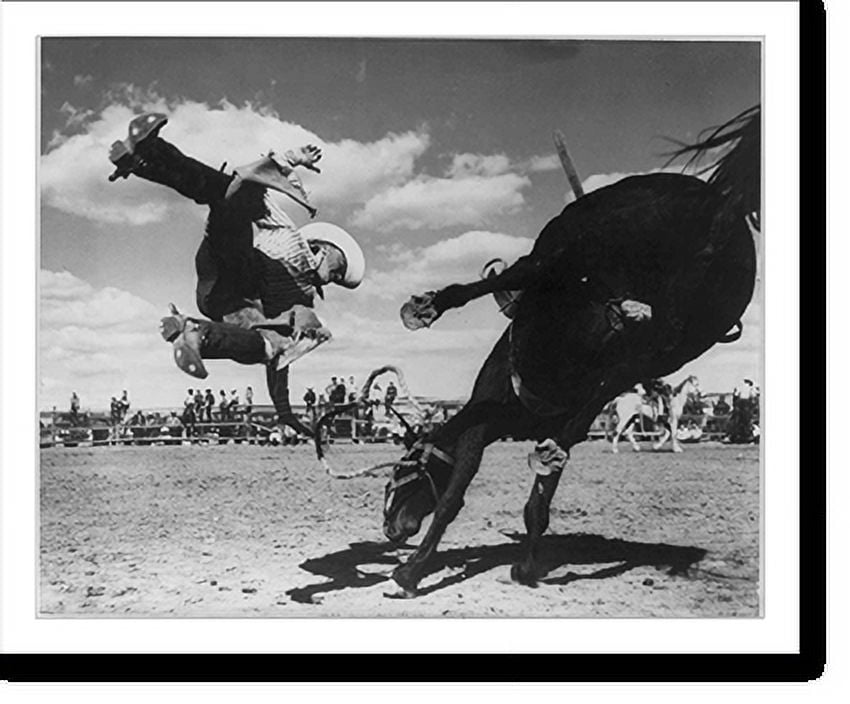 Historic Print, Collegiate rodeo rider taking a spill, 16" x 20 ...