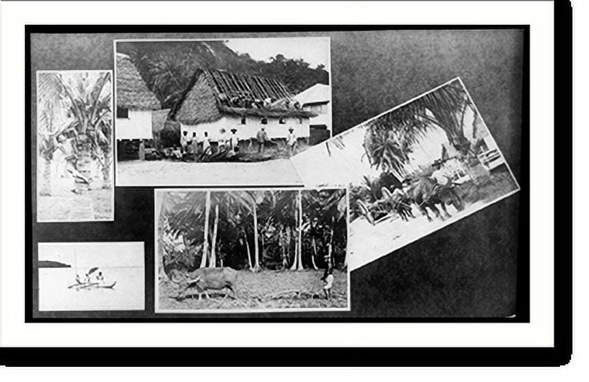 Historic Print, [Composite scenes of Guam, ca. 1912: water buffaloes ...
