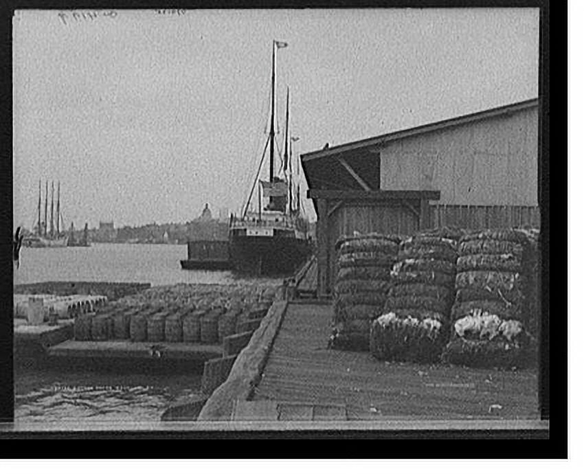 Historic Print, Cotton docks, Savannah, Ga., 16" x 20" - Walmart.com