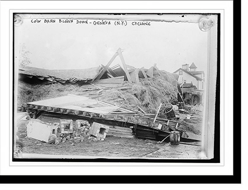 Historic Print, Cow barn blown down, Geneva, N.Y., cyclone, 16" x 20 ...