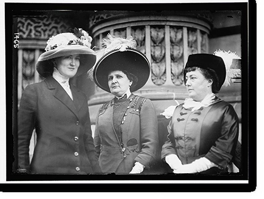 Historic Print, DEMOCRATIC NATIONAL CONVENTION. MISS RUBY TUCKER OF ...